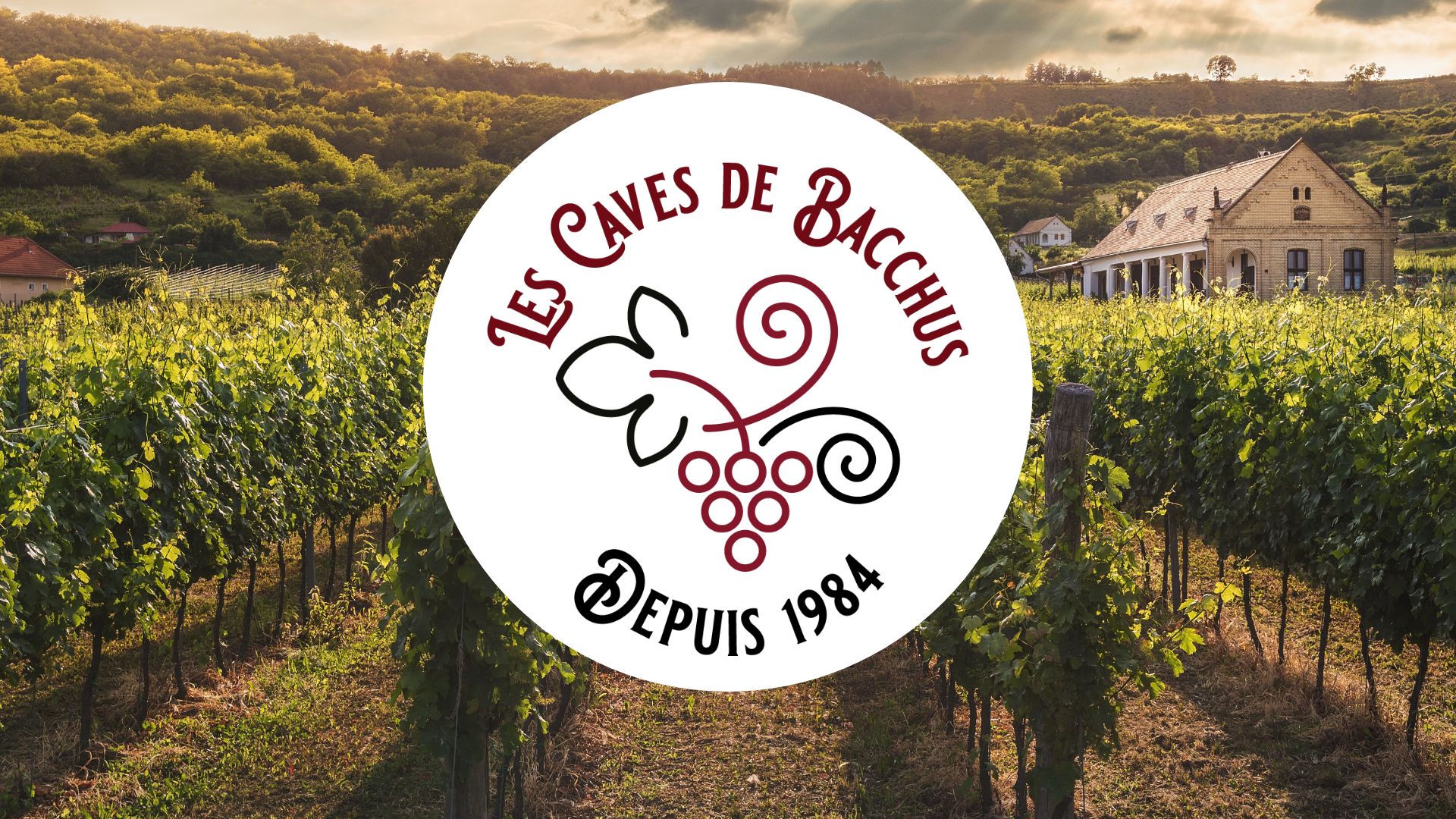 Les Caves De Bacchus - Cave à vin depuis 1984 Puy-Guillaume